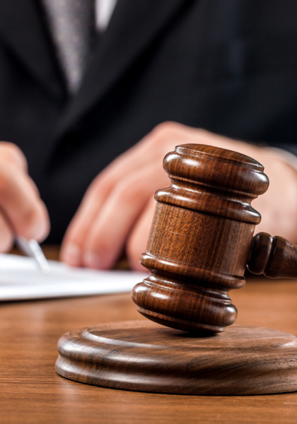 Understanding How a Law is Passed | DivinaLaw
