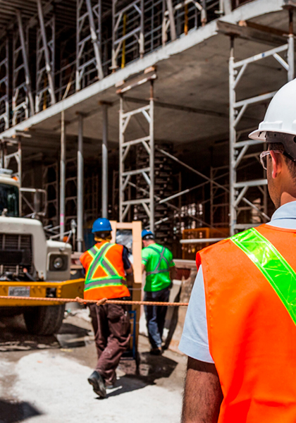 Project employment | DivinaLaw