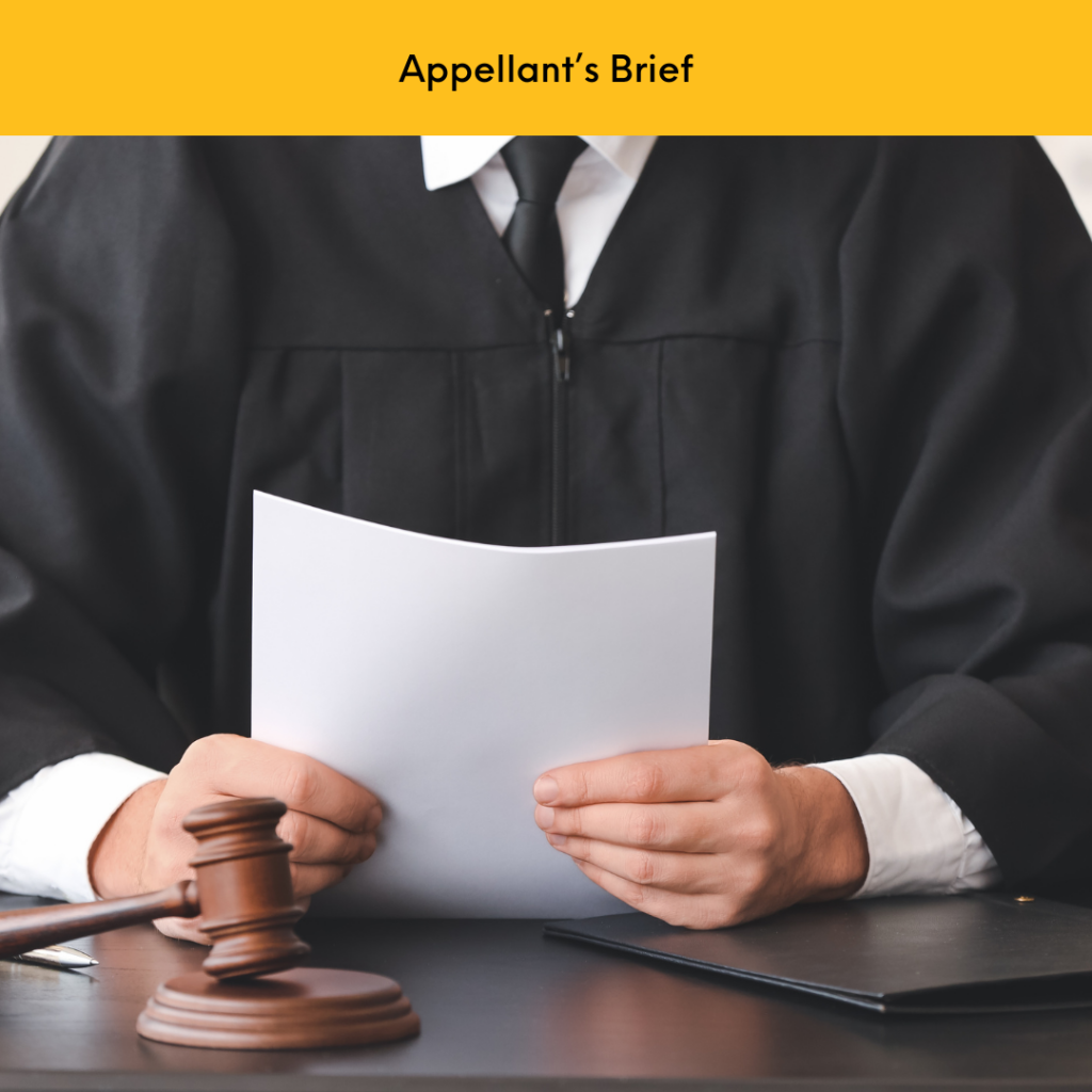 Appellant’s Brief | DivinaLaw